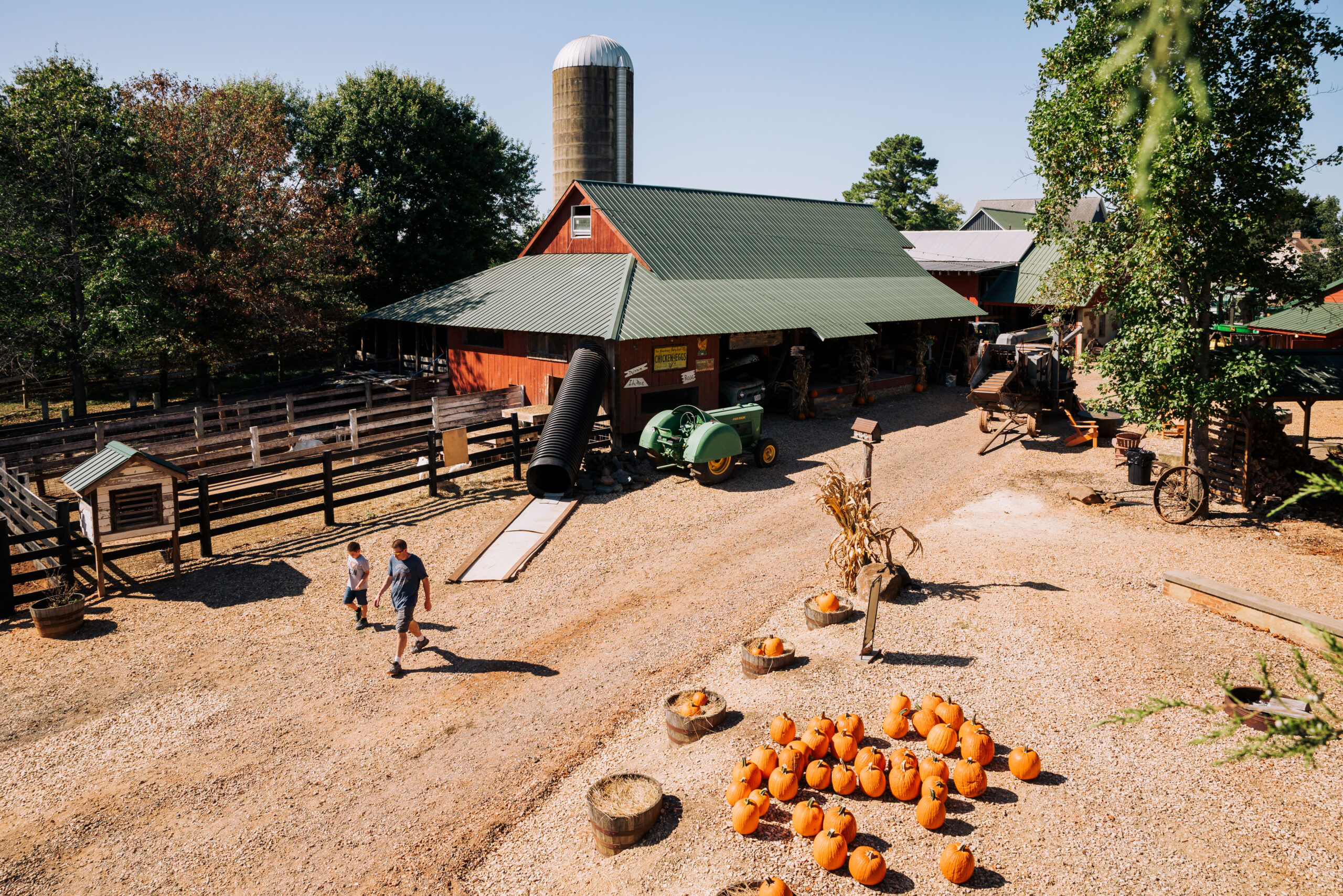 Falling for Culpeper